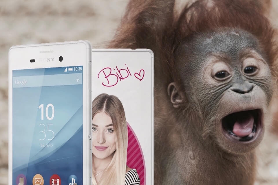 Das legendäre Bibi Phone im ultimativen Test - Affiliate-Vergleichsportal